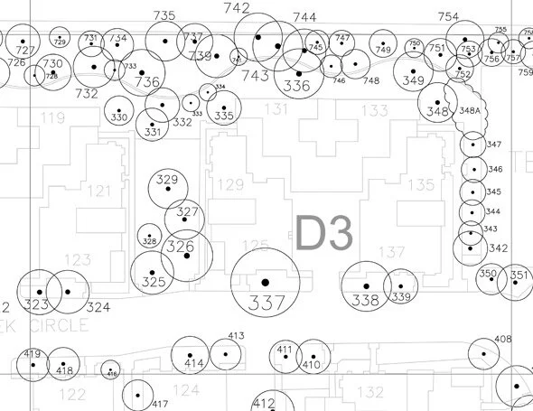 Tree Management Plans — McNeil Arboriculture Consultants