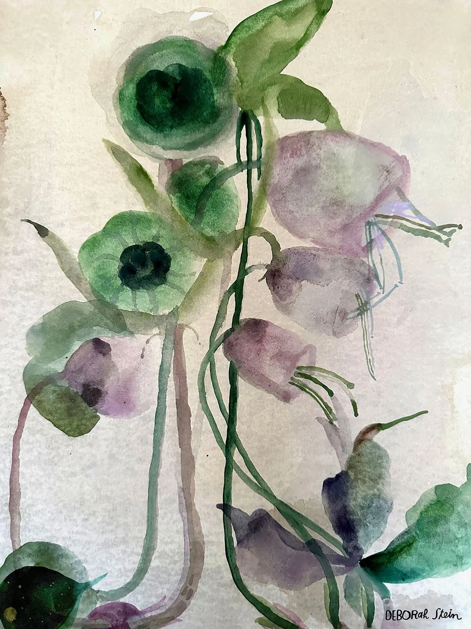 Deborah Stein | Four Portraits + Violet, A Story in Words and Pictures ...