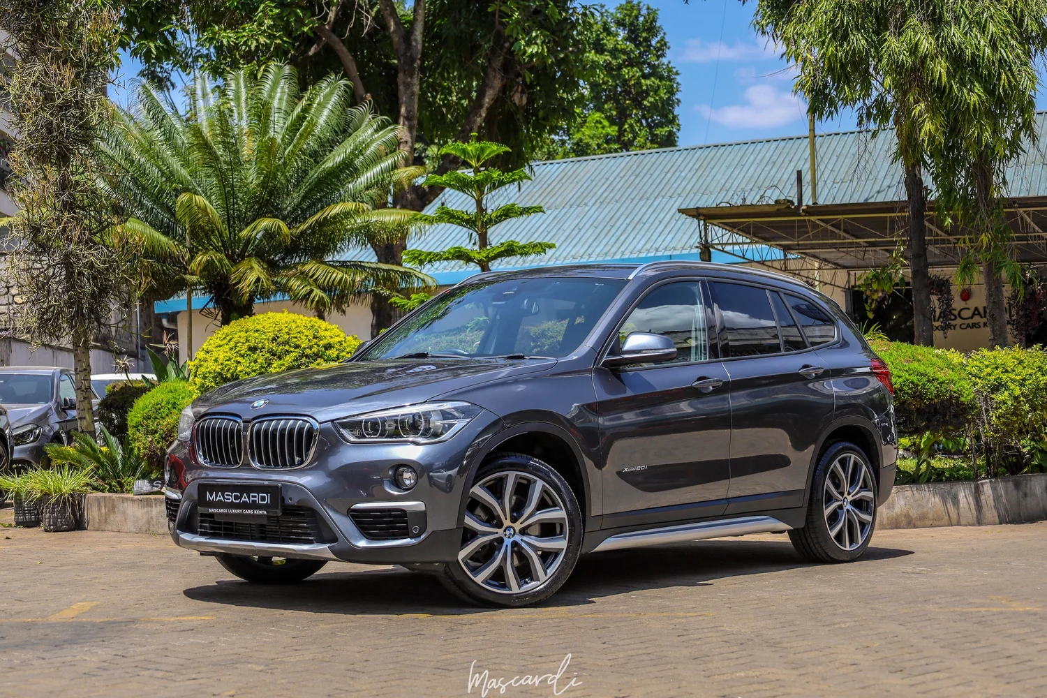 Premium BMW cars — MASCARDI