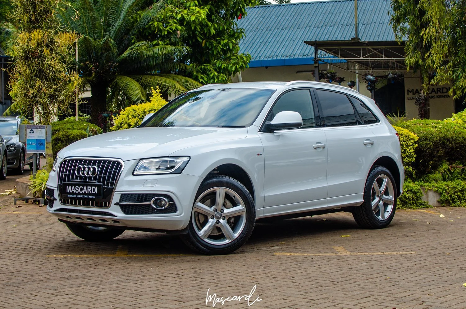 Audi — MASCARDI