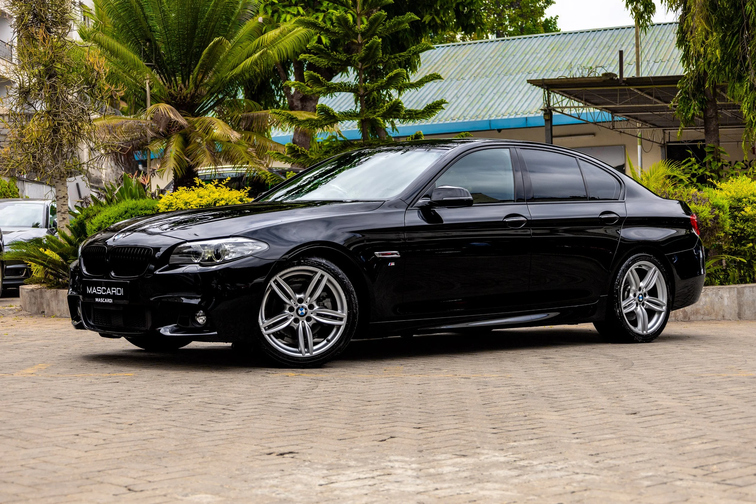 Premium BMW cars — MASCARDI