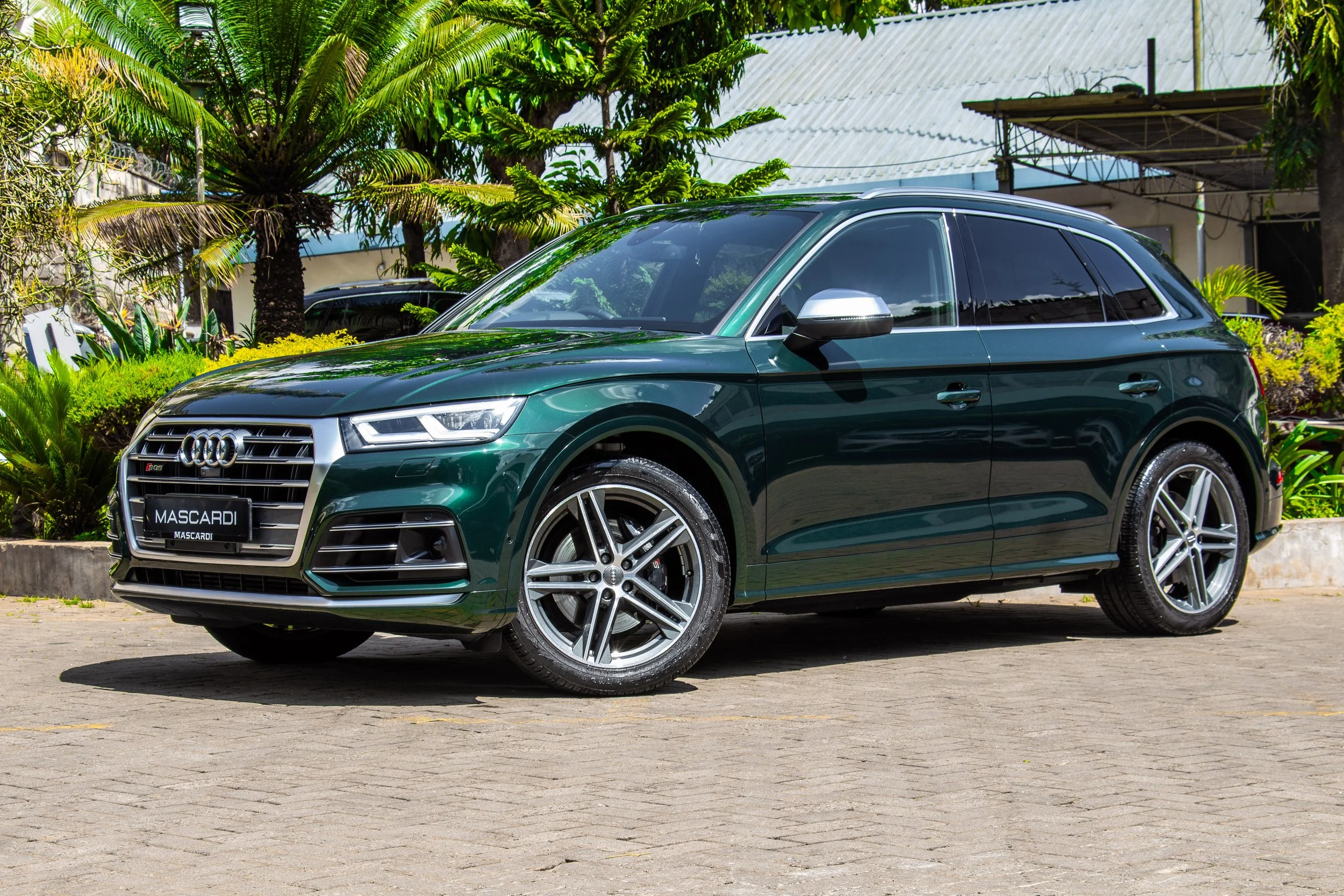Audi — MASCARDI
