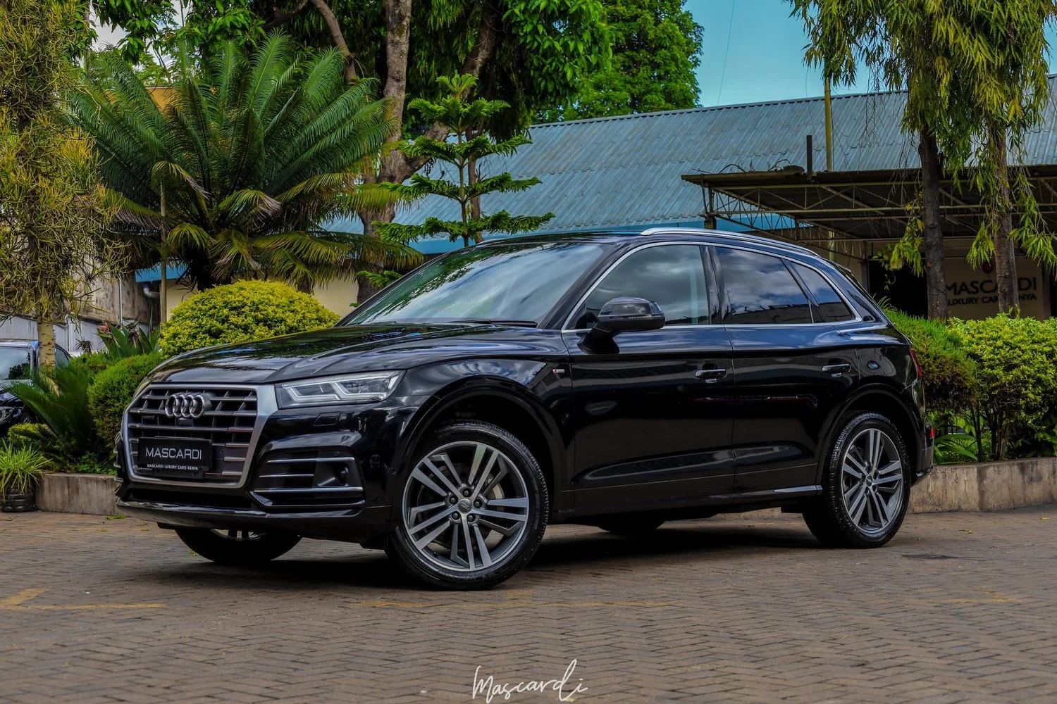 Audi — MASCARDI