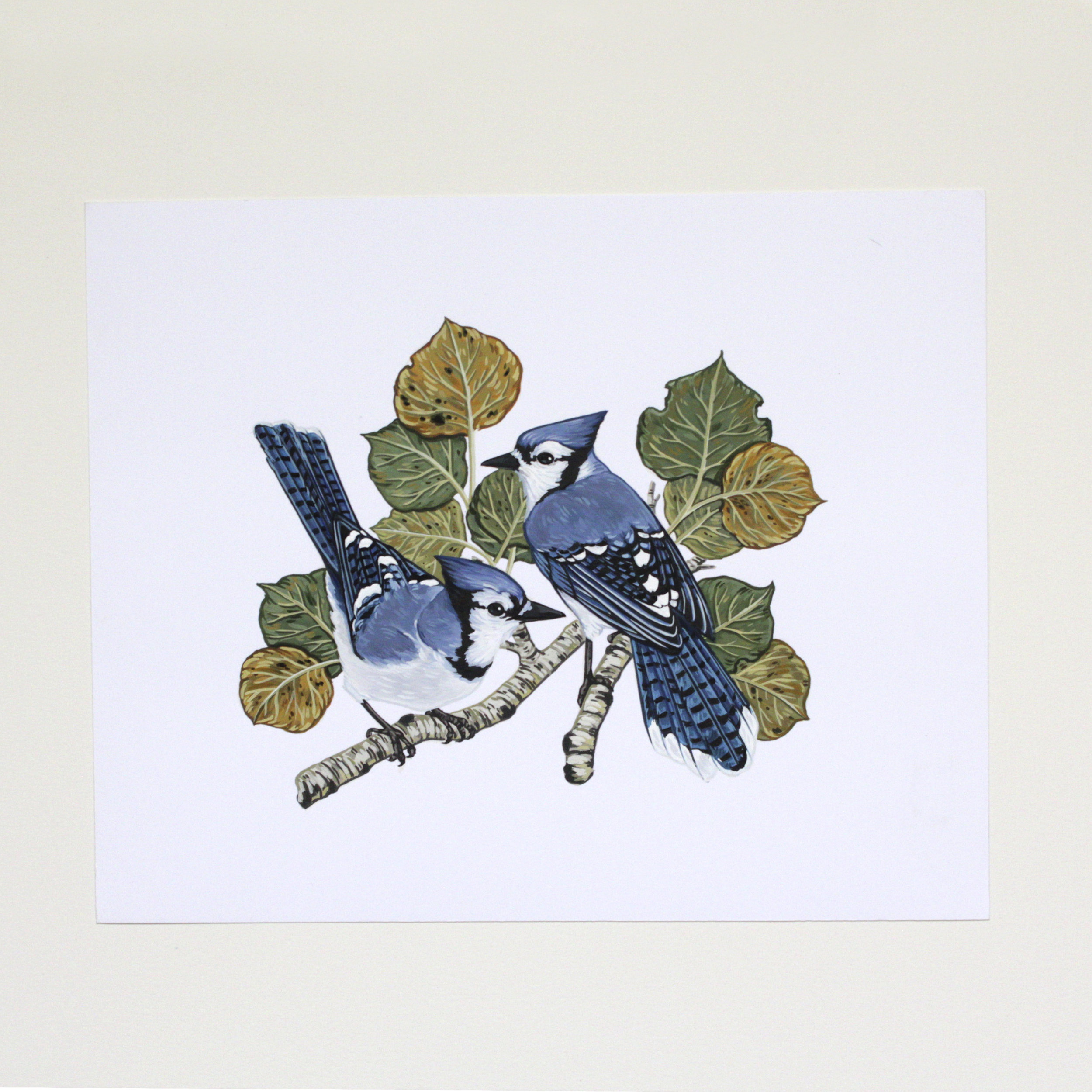 ORIGINALS — Scout Paper Goods