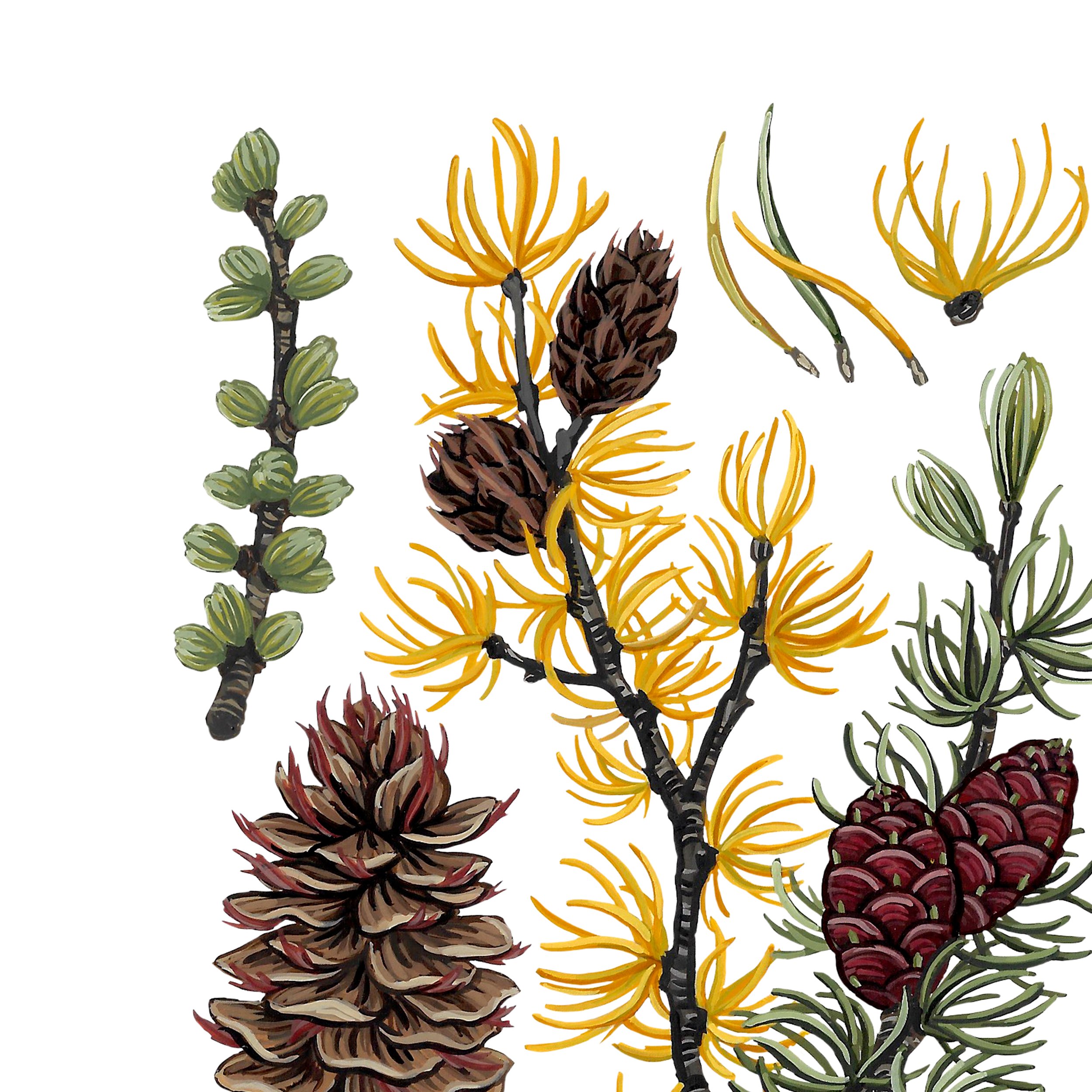 ART PRINTS — Scout Paper Goods