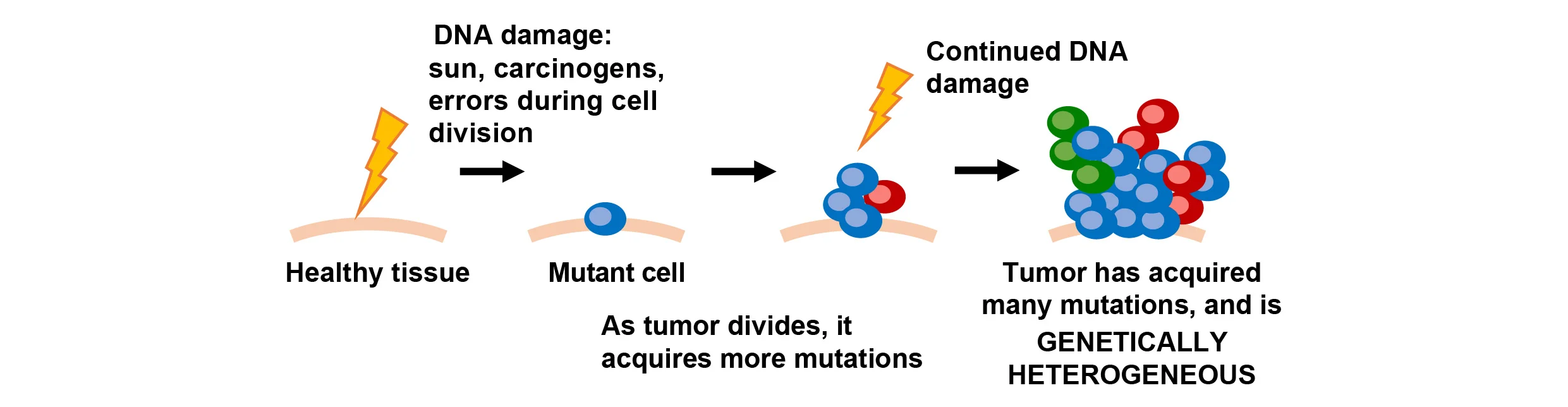 Research — Reeves Lab