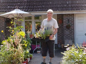 PADDOCK PLANTS - Buy Peat Free Plants Online UK