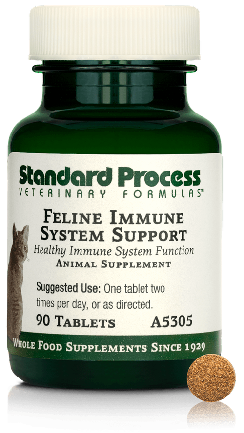 Nutritional Support for Dogs and Cats - PawromaTherapy