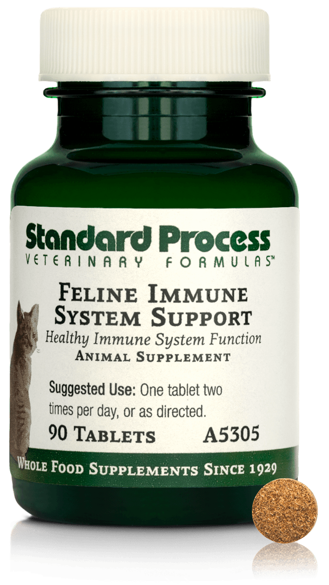 Nutritional Support for Dogs and Cats - PawromaTherapy