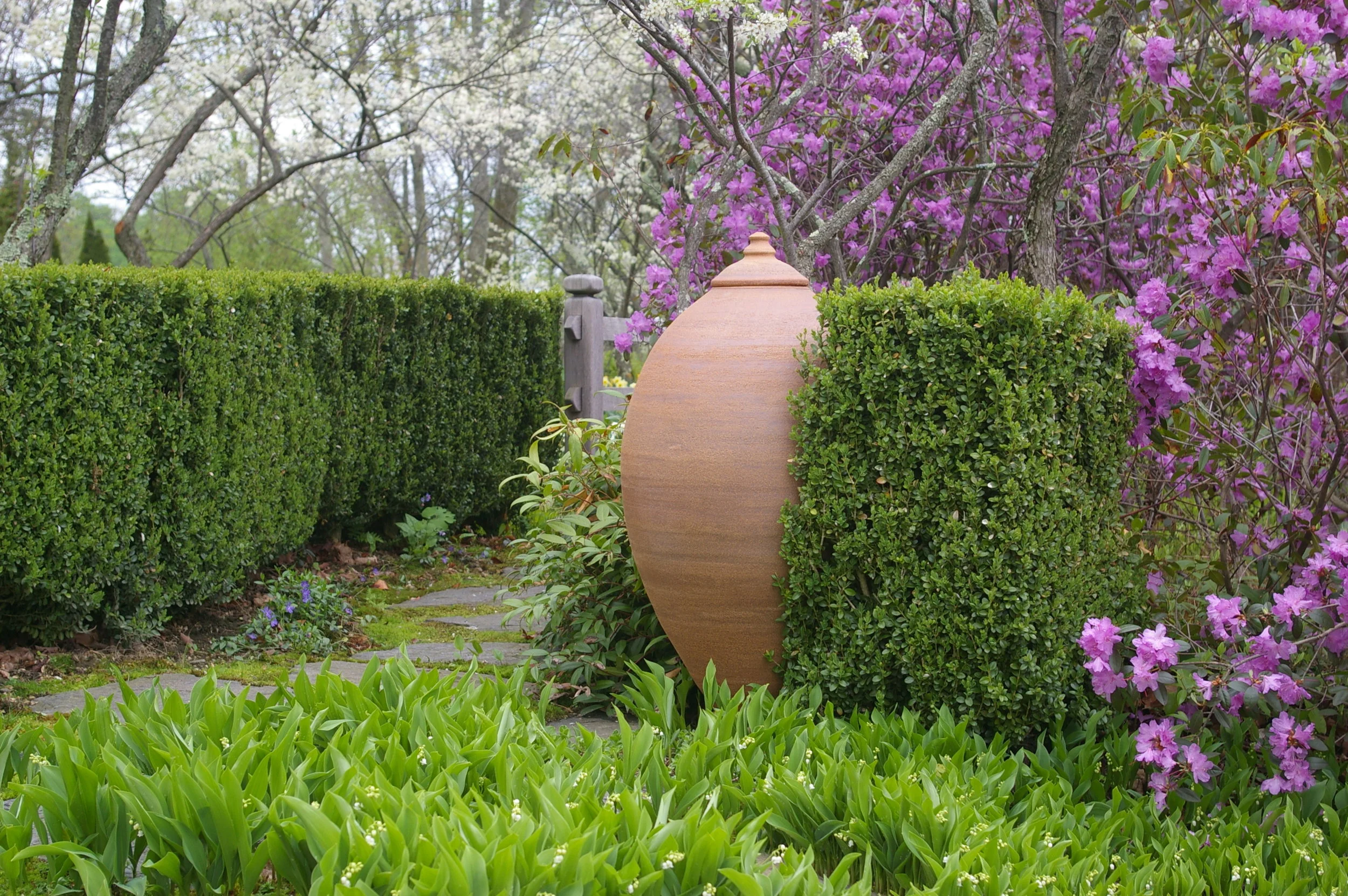 Stephen Procter Studios