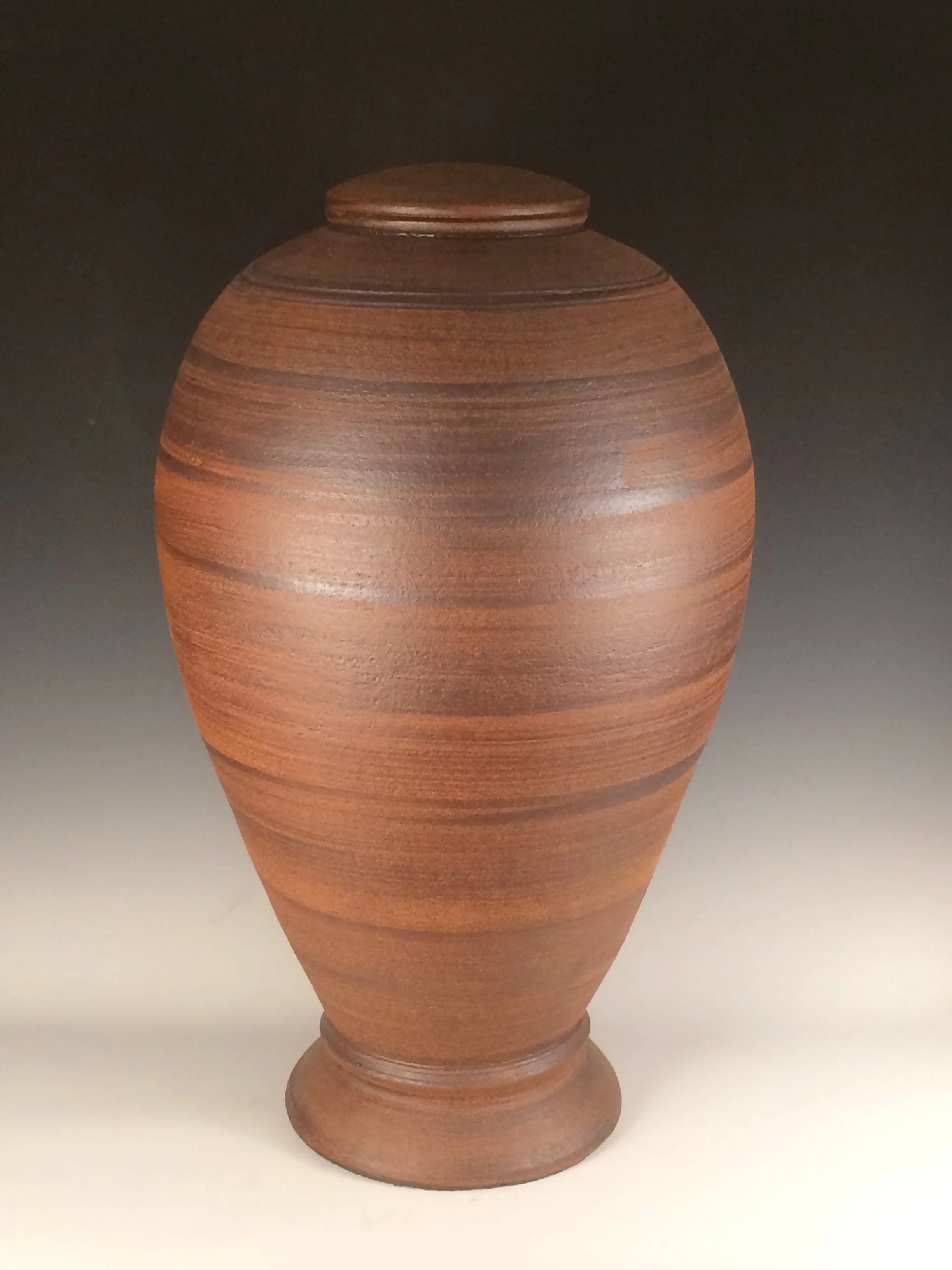 Stephen Procter Studios