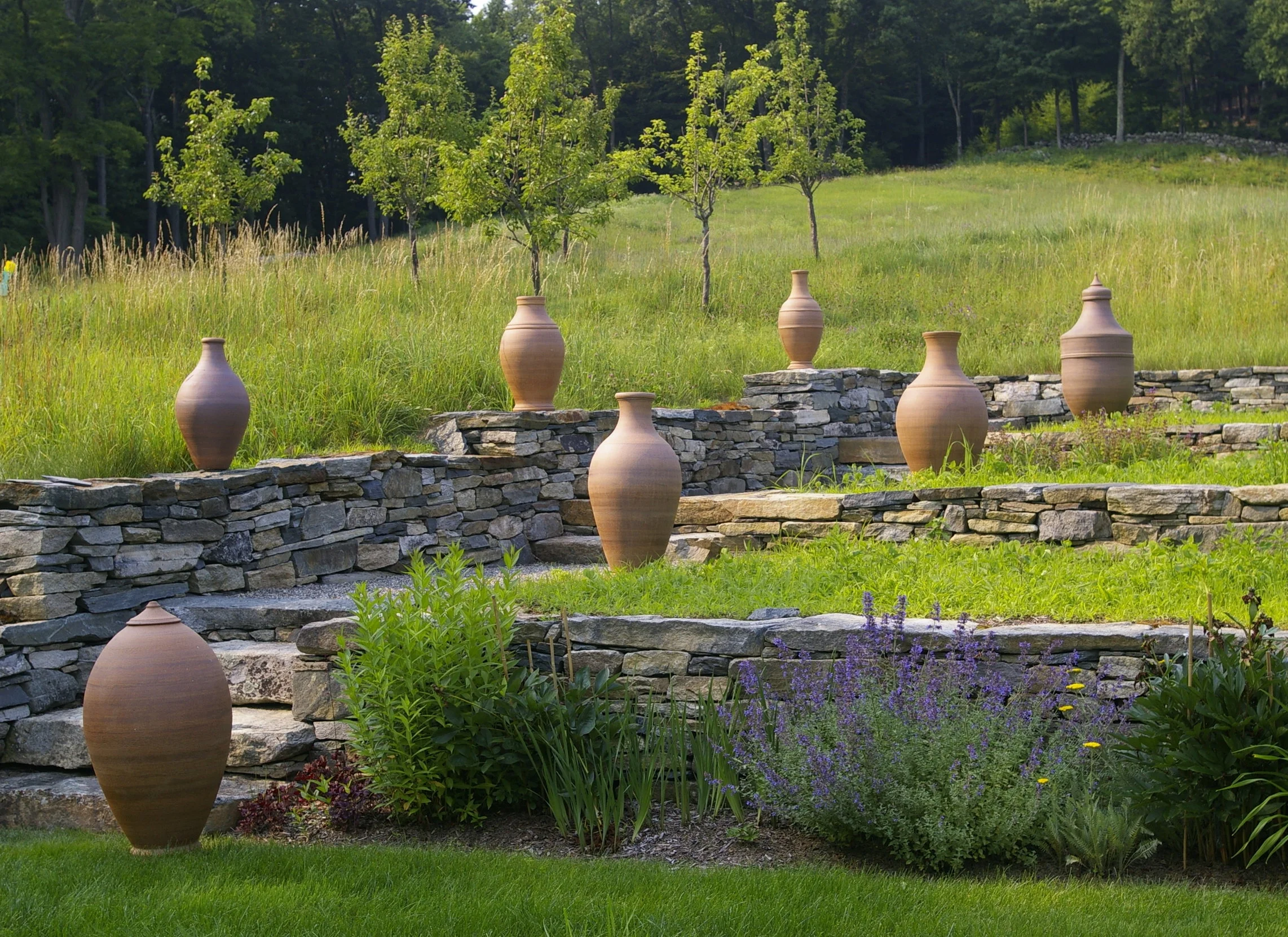 Stephen Procter Studios