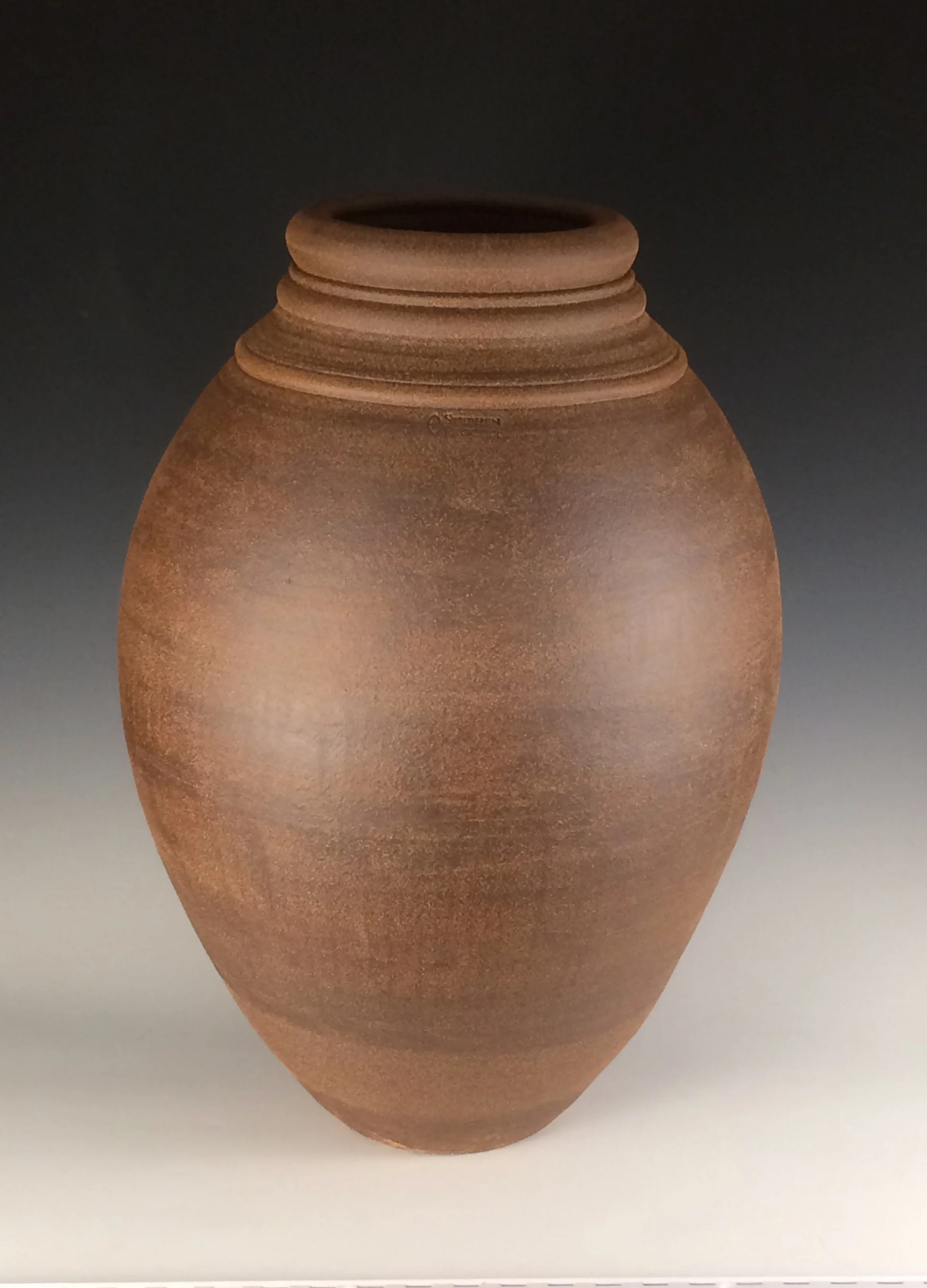 Stephen Procter Studios