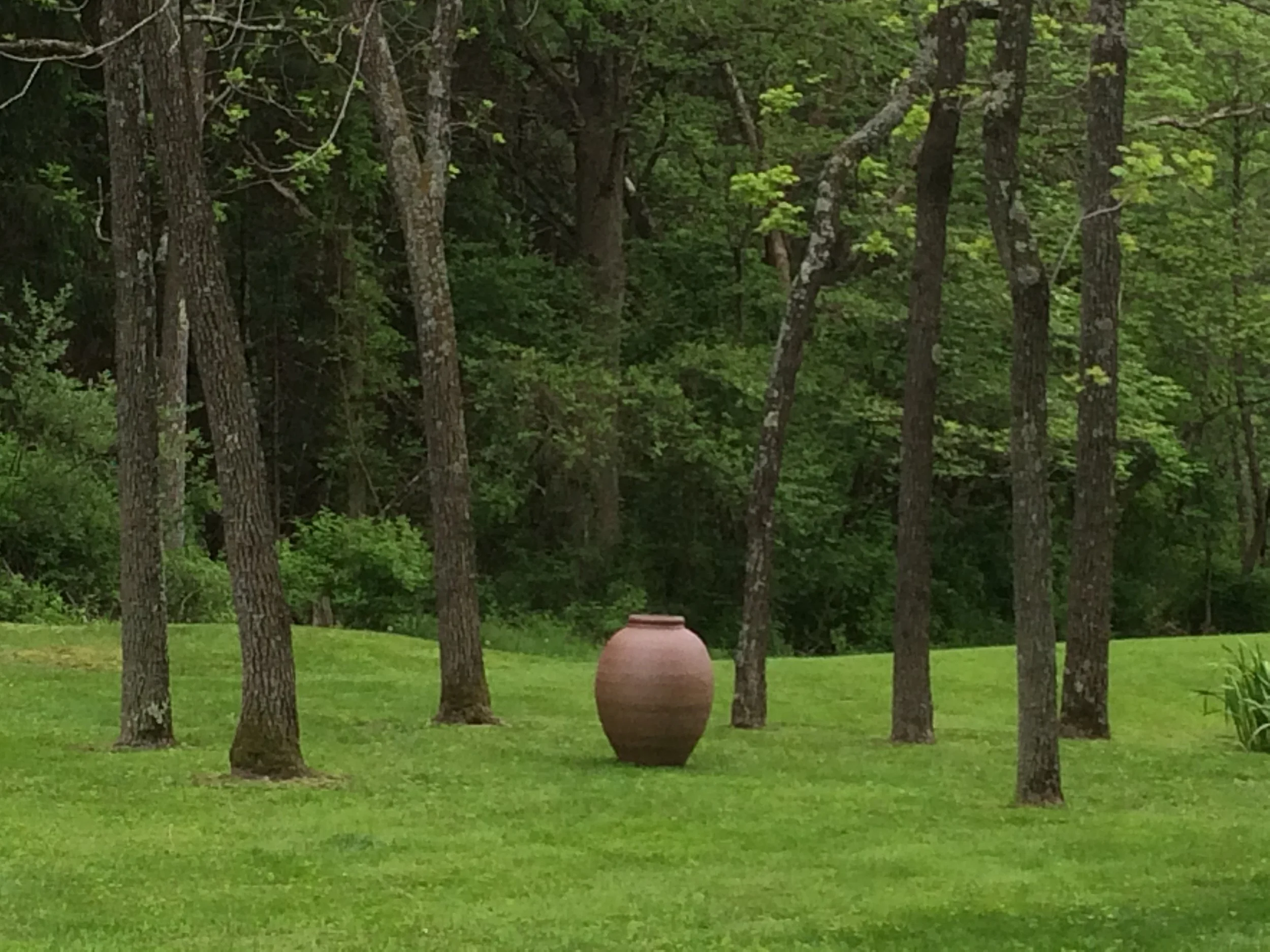 Stephen Procter Studios