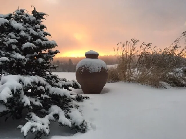 Stephen Procter Studios