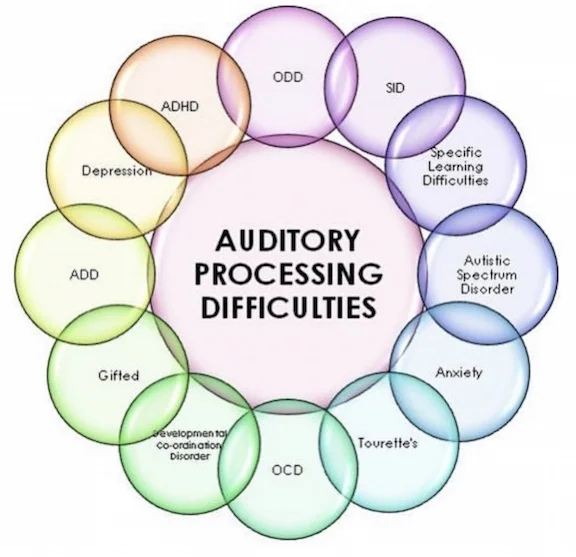 A Multisensory Approach to Phonics (and a FREEBIE!) — Sarah Gardner