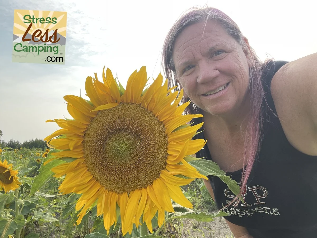 The Minis take Michigan - 2023 Michigan Road Trip Day Three: Frankenmuth and Sunflowers