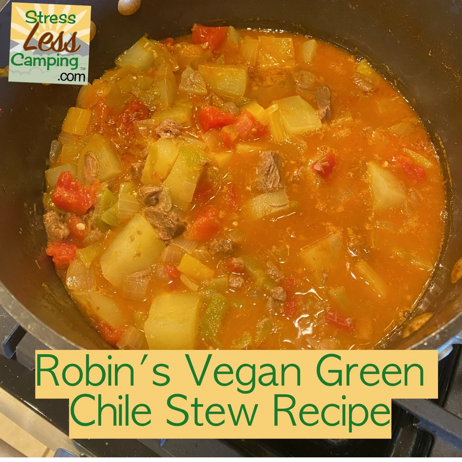 Robin's Vegan Green Chile Stew Recipe