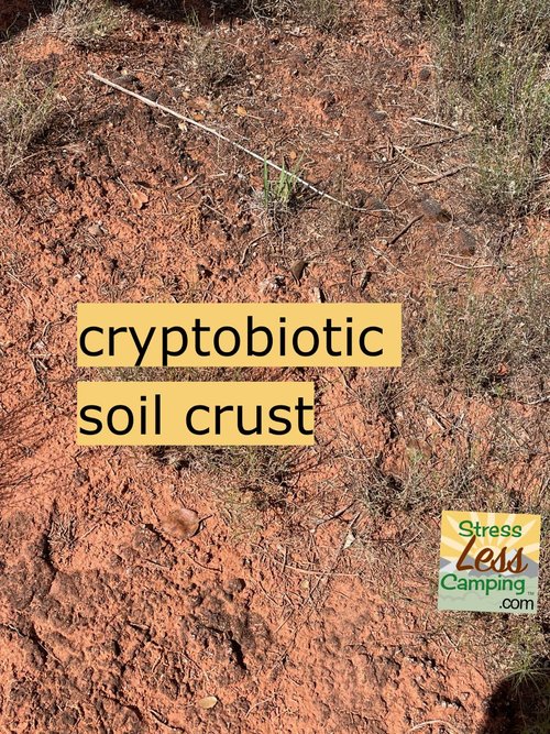 Geologic history and setting of Sedona Arizona