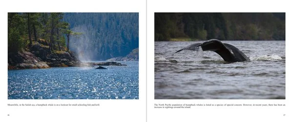 Photo Book: Wild Vancouver Island — Catherine Babault ~ Nature and ...