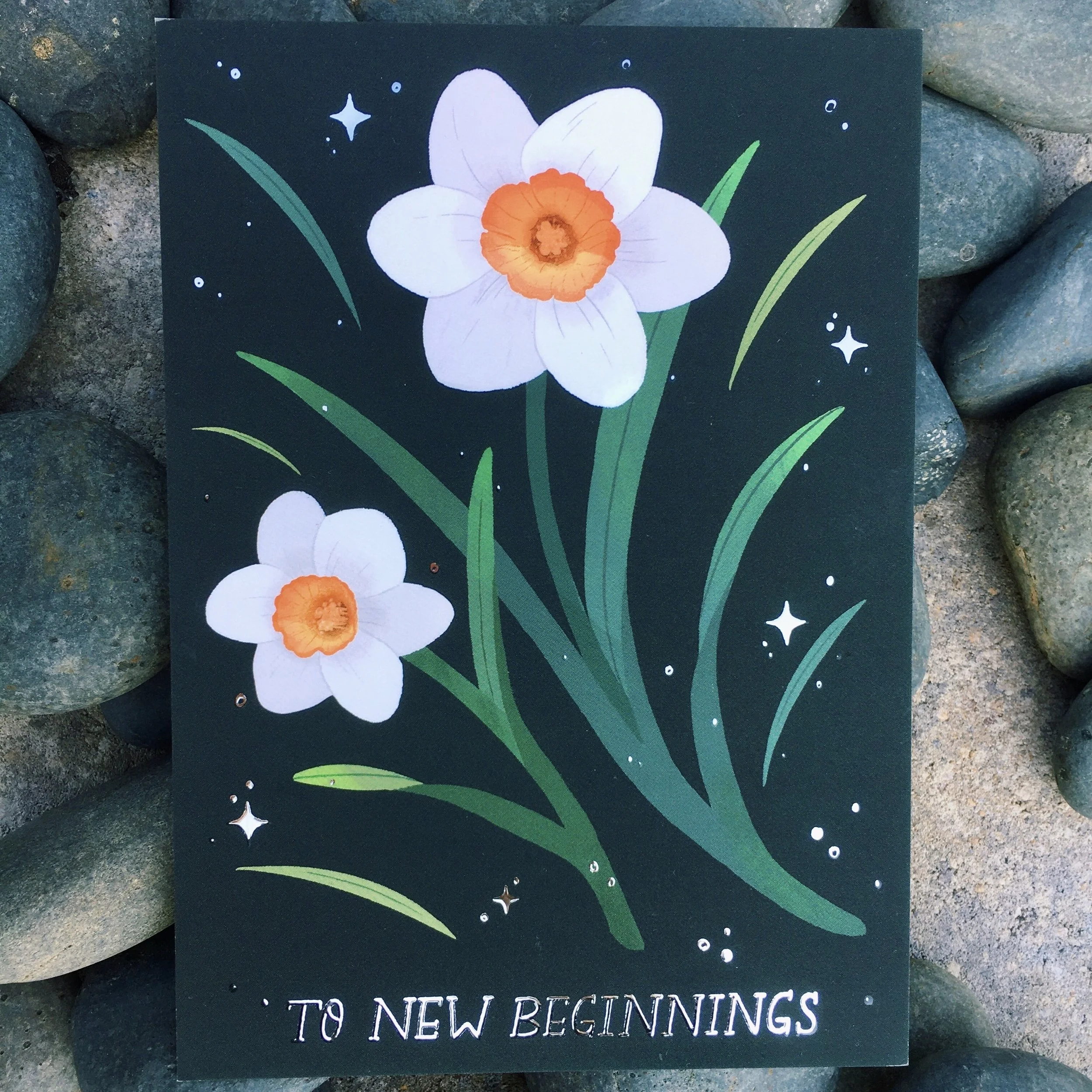 To New Beginnings Card — Tiffany Connolly