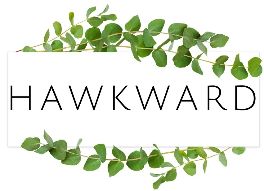 Hawkward Hawk