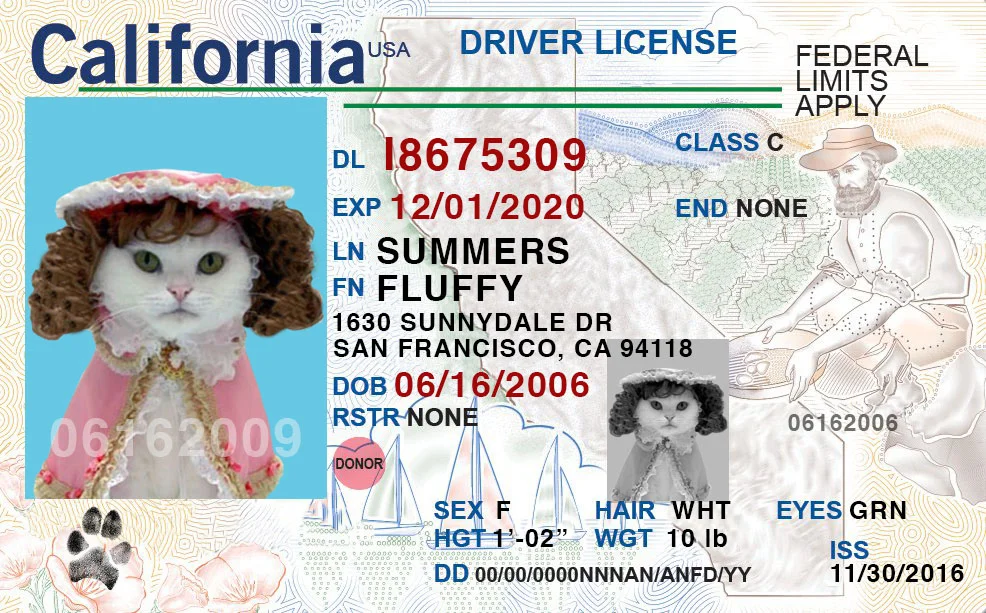 ID Policies — Amory Body Arts