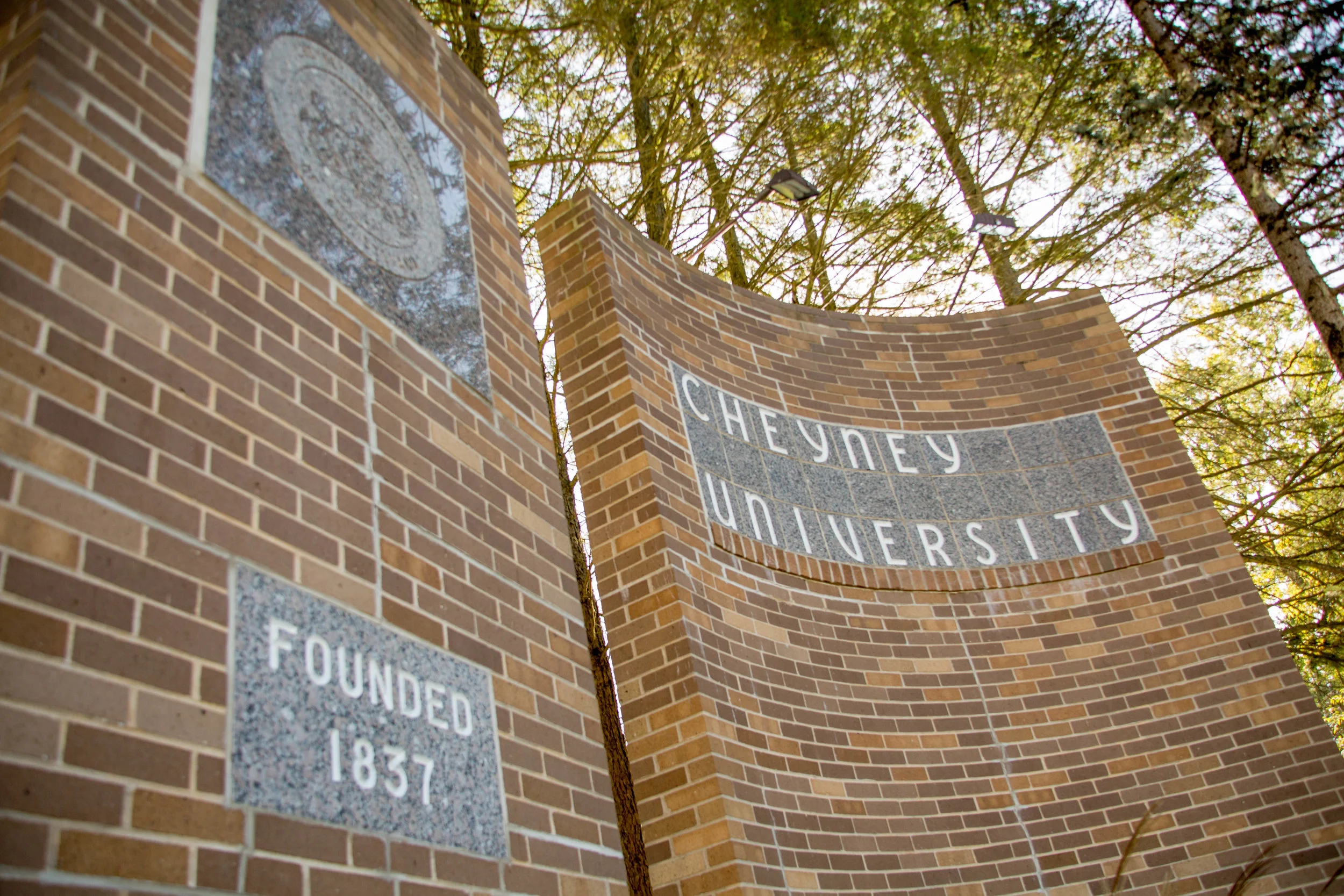 Case Studies — THE ROZ GROUP