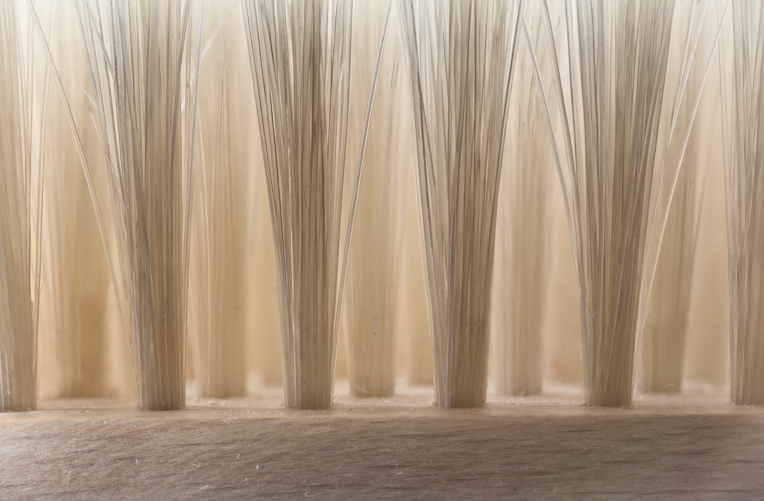 Bristles by Ian Gilmour
