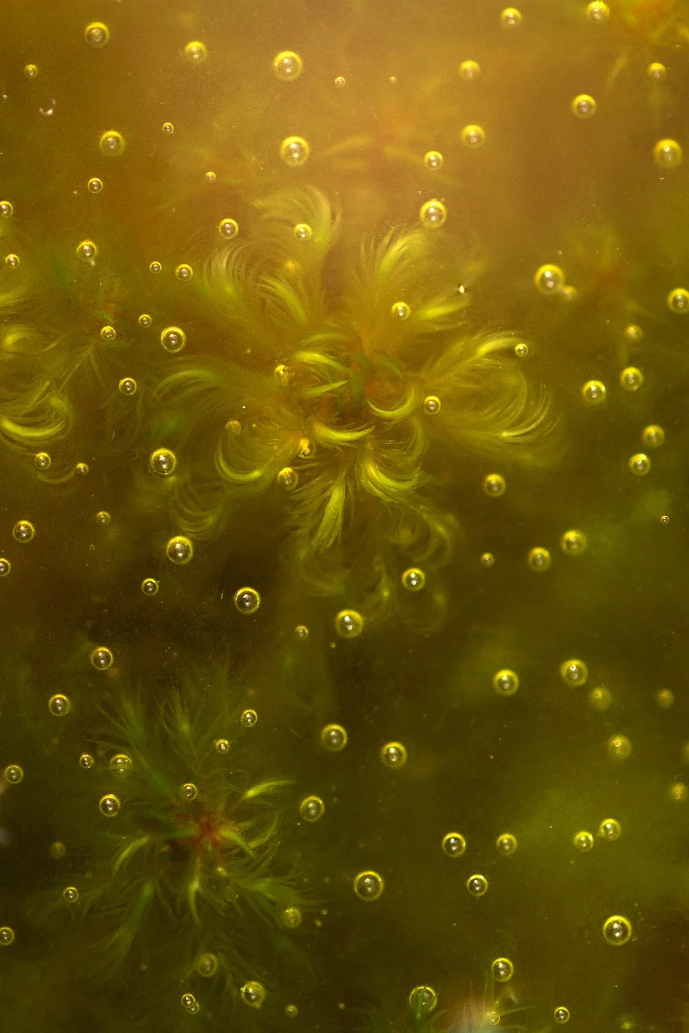 Interview with Tina Claffey