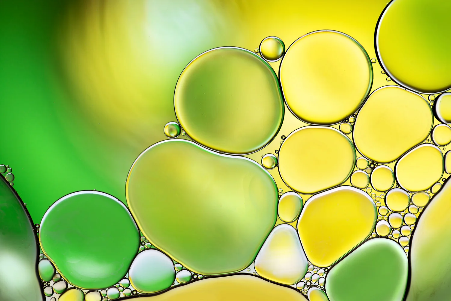 Oil And Water Photography