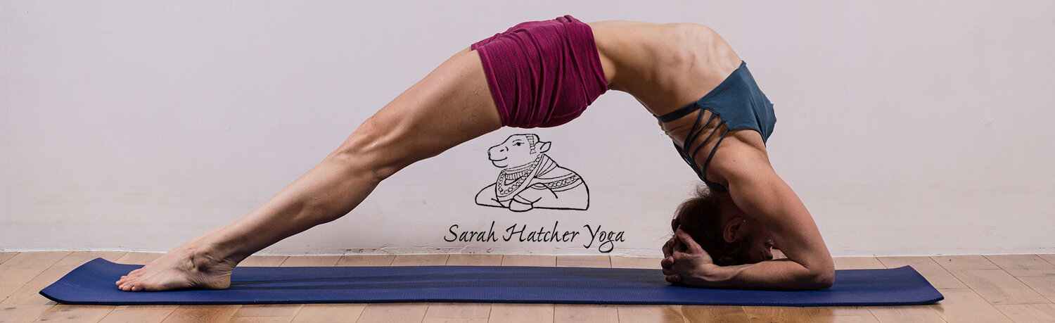 Sarah Hatcher Yoga - Ashtanga Yoga in Dublin