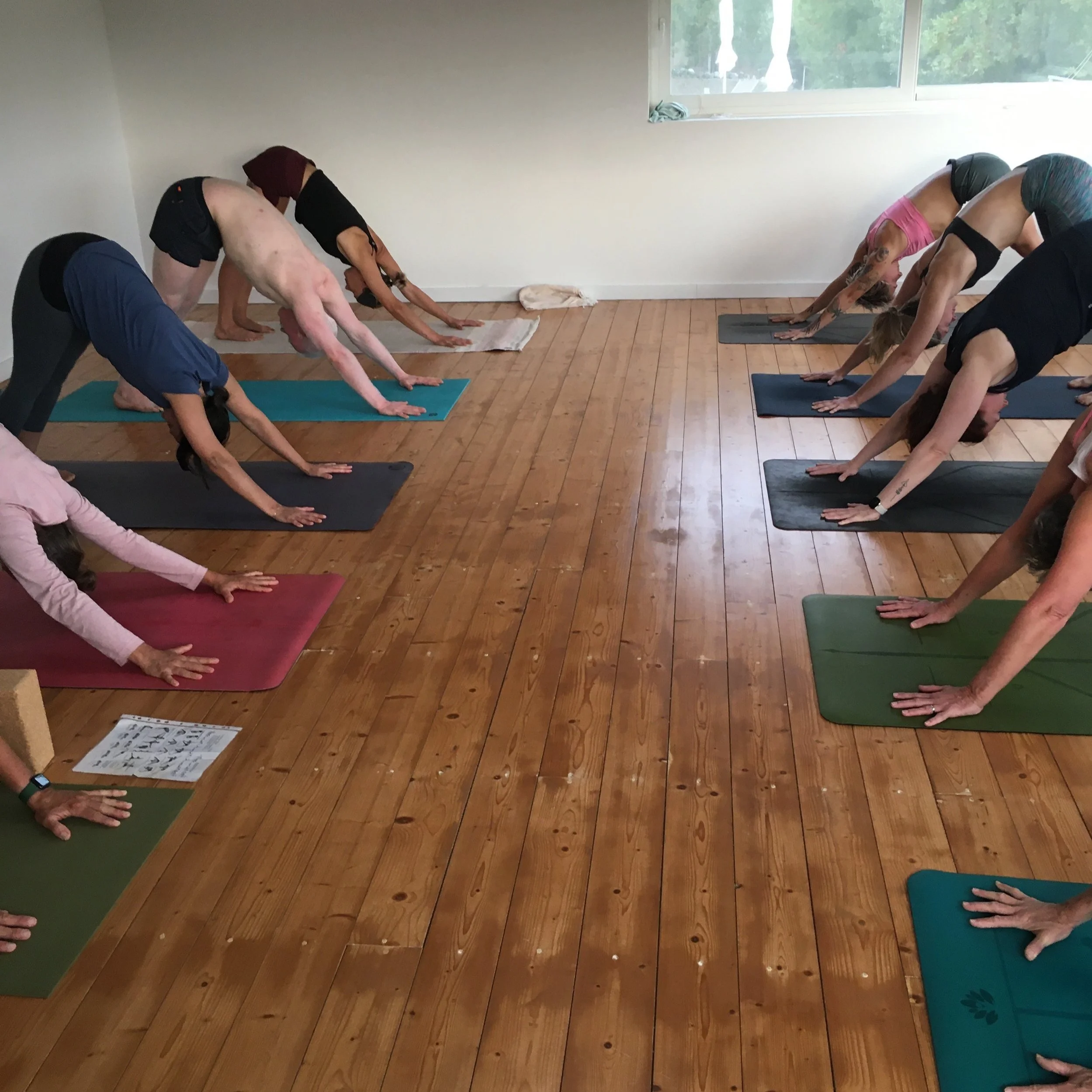 Sarah Hatcher Yoga - Mysore Ashtanga Yoga with Sarah Hatcher