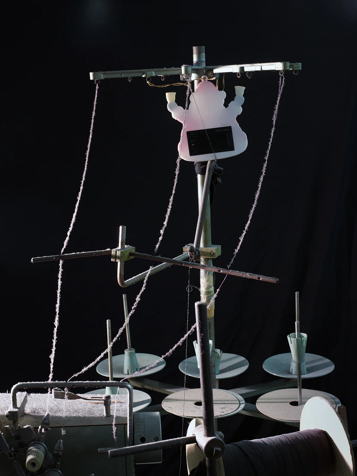 Portraiture — Anthony Lepore