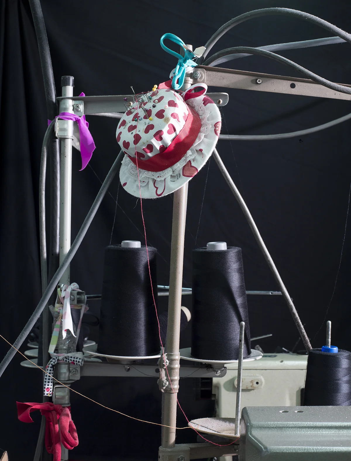 Portraiture — Anthony Lepore