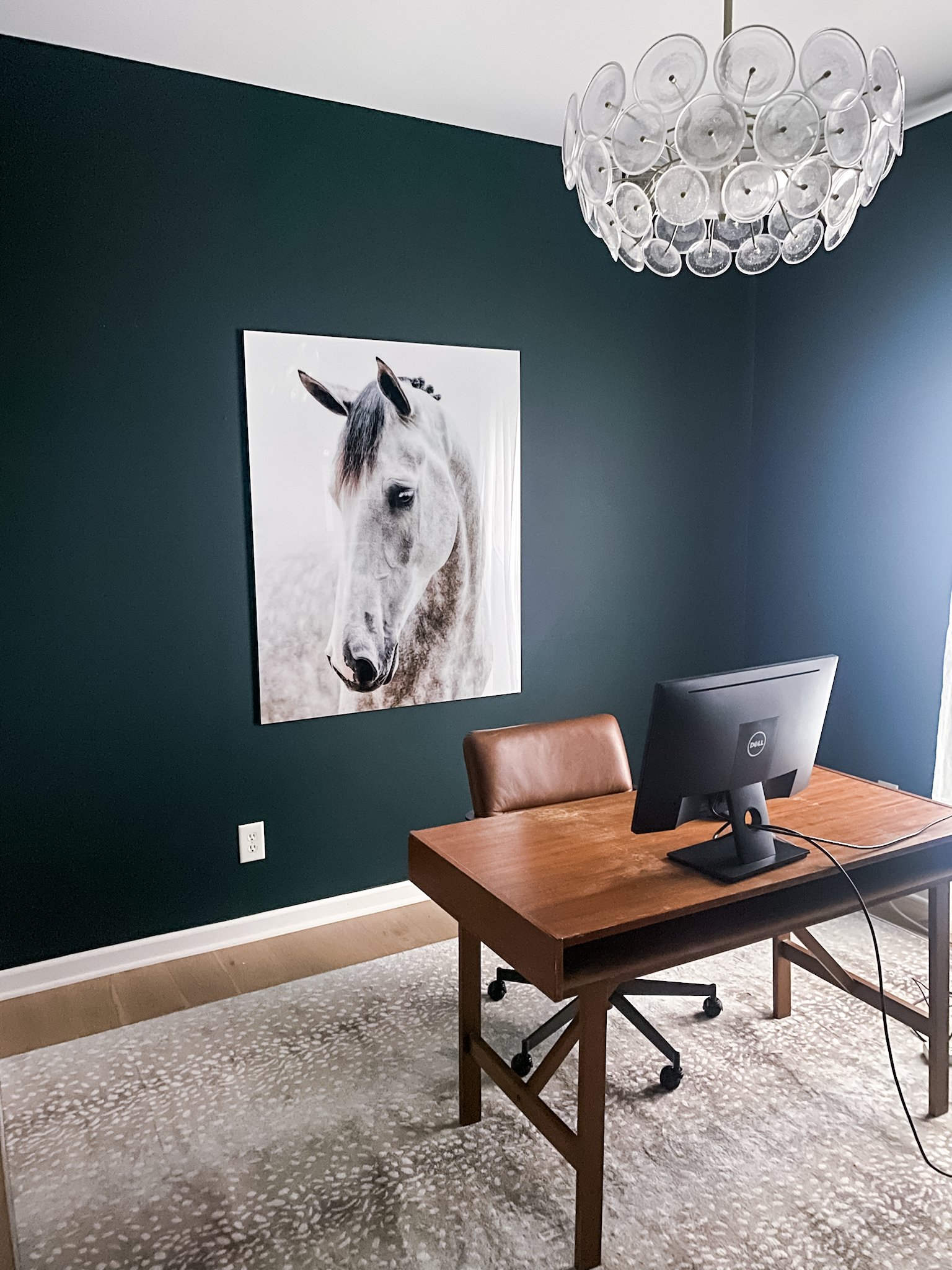 Ashley Payne Photography | Nashville Equine Portrait Photographer