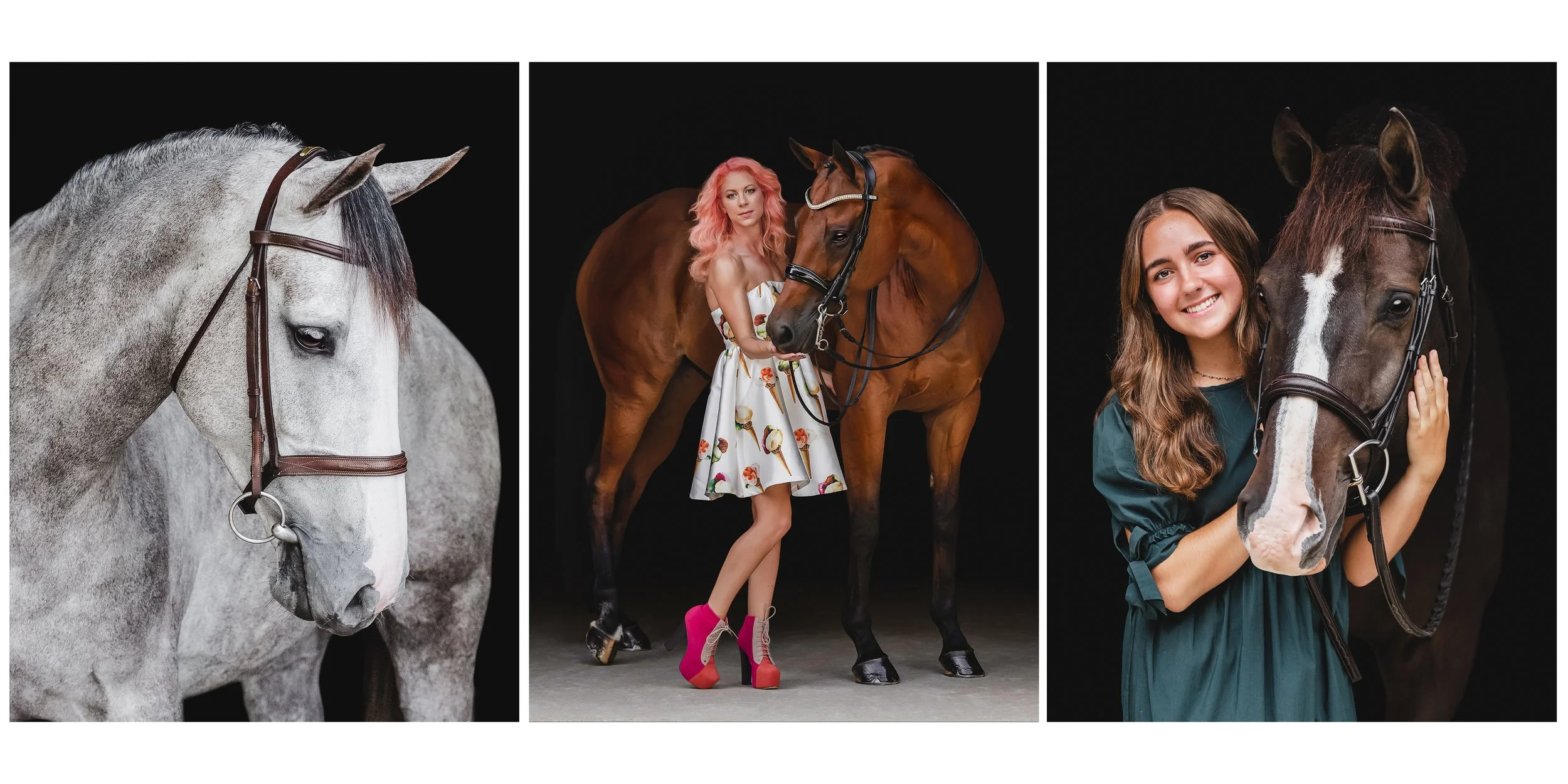 Ashley Payne Photography | Nashville Equine Portrait Photographer
