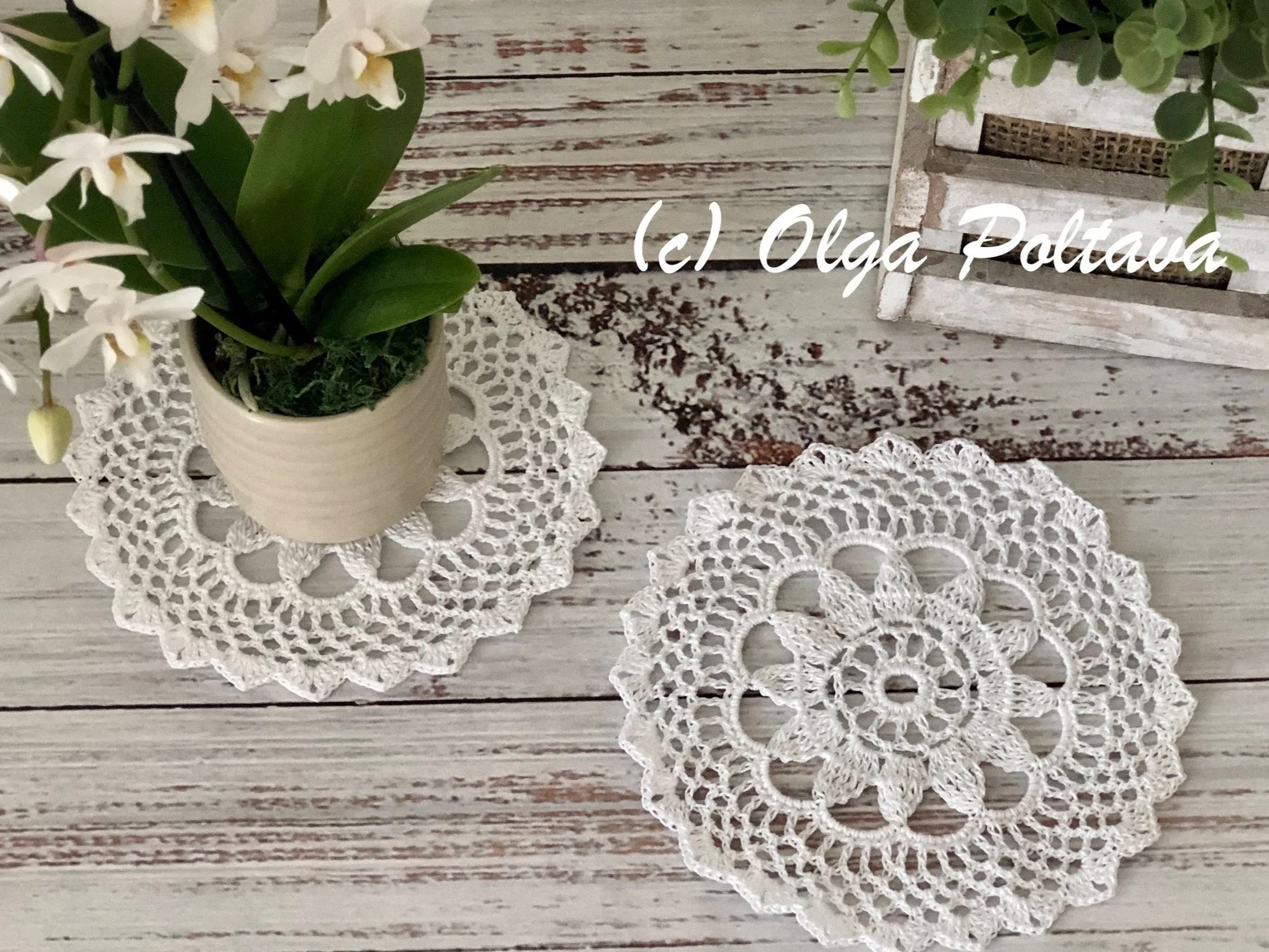 Unique Crochet Doily Patterns — Olga Poltava