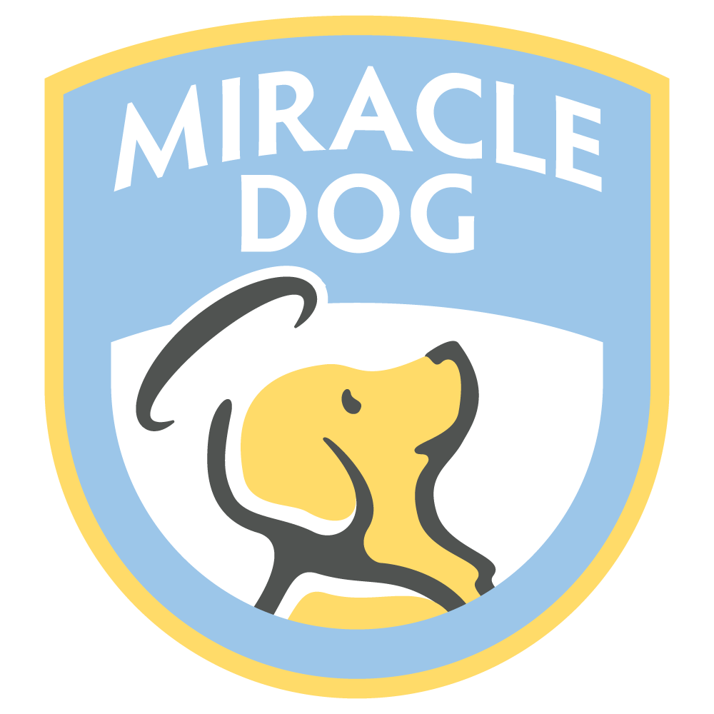 About — Miracle Dog