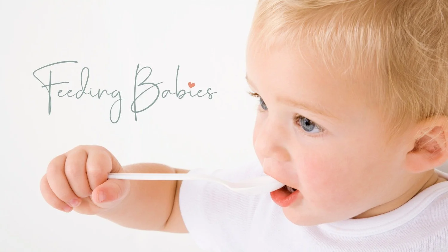 Baby Feeding & Introducing Solids: Infant Feeding Guidelines by Karina ...