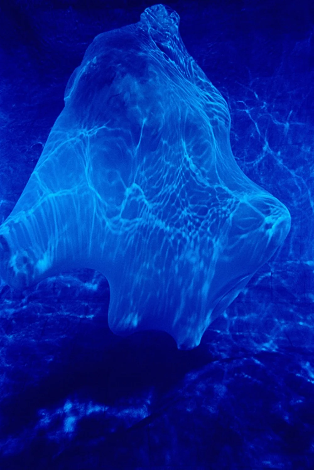 DAISY XAVIER — Galeria Eduardo Fernandes