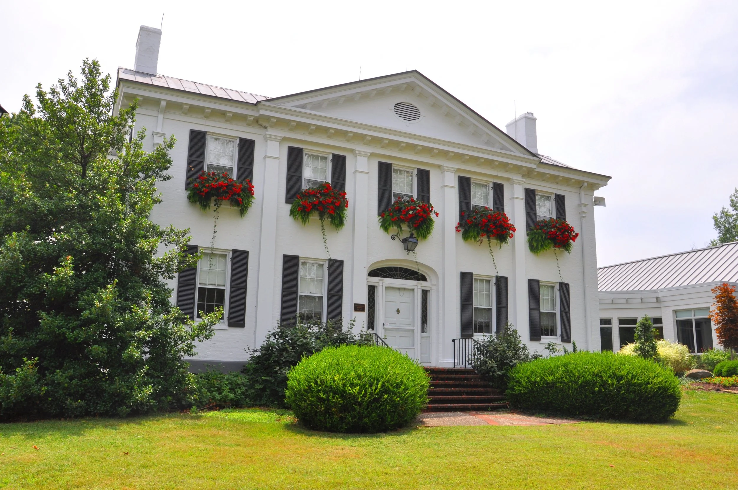 SUMMER — Wow Windowboxes