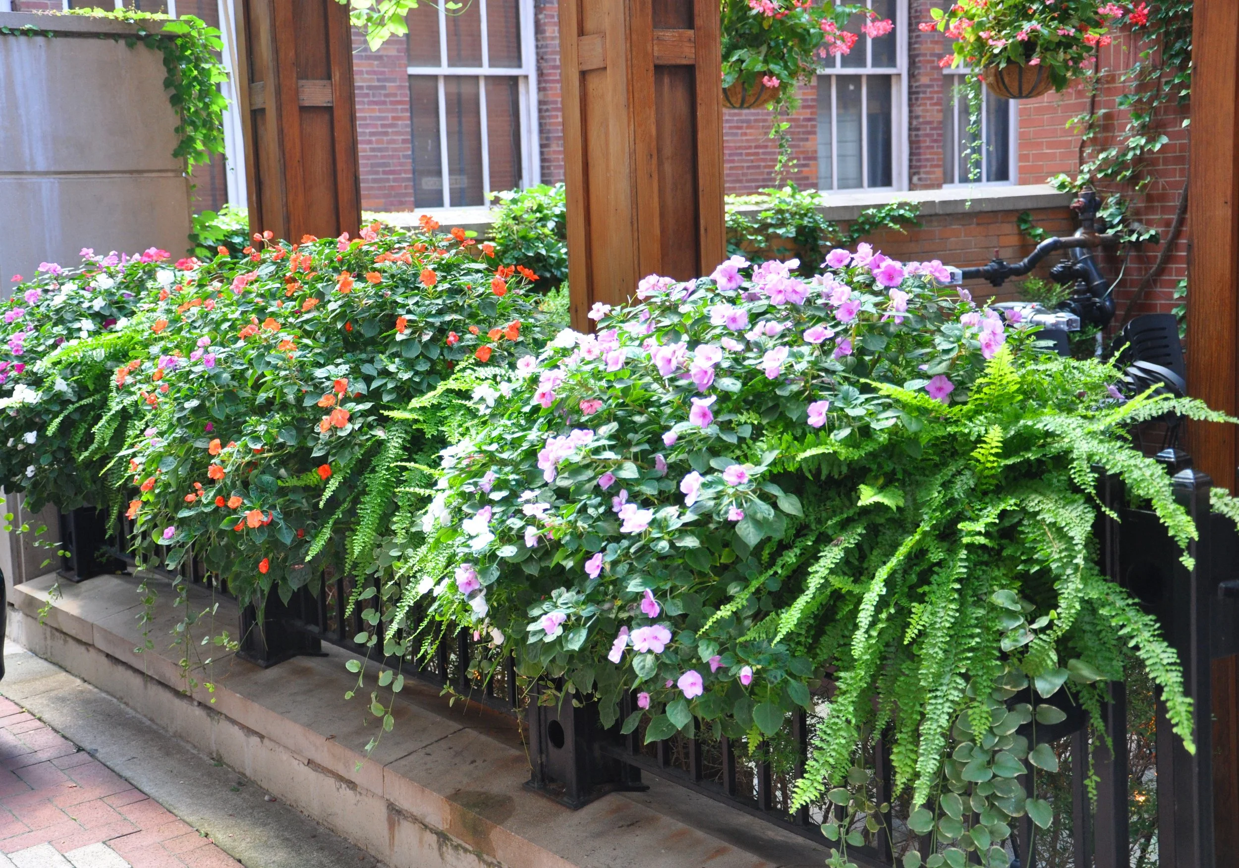 SUMMER — Wow Windowboxes