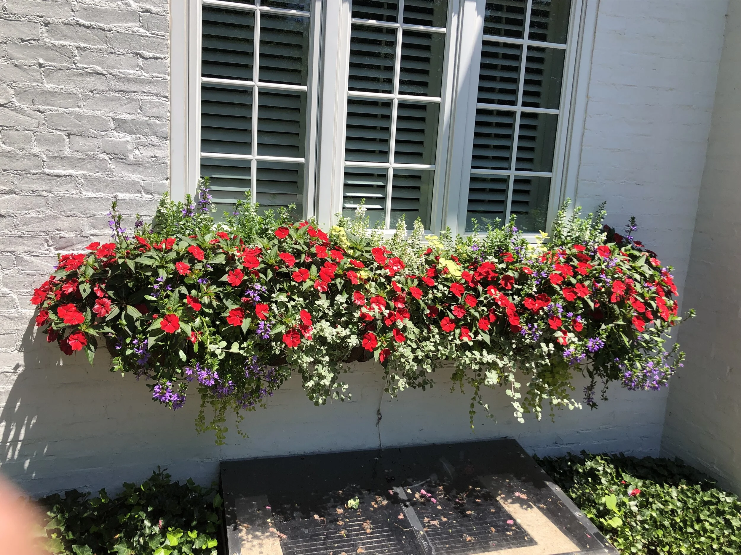 SUMMER — Wow Windowboxes