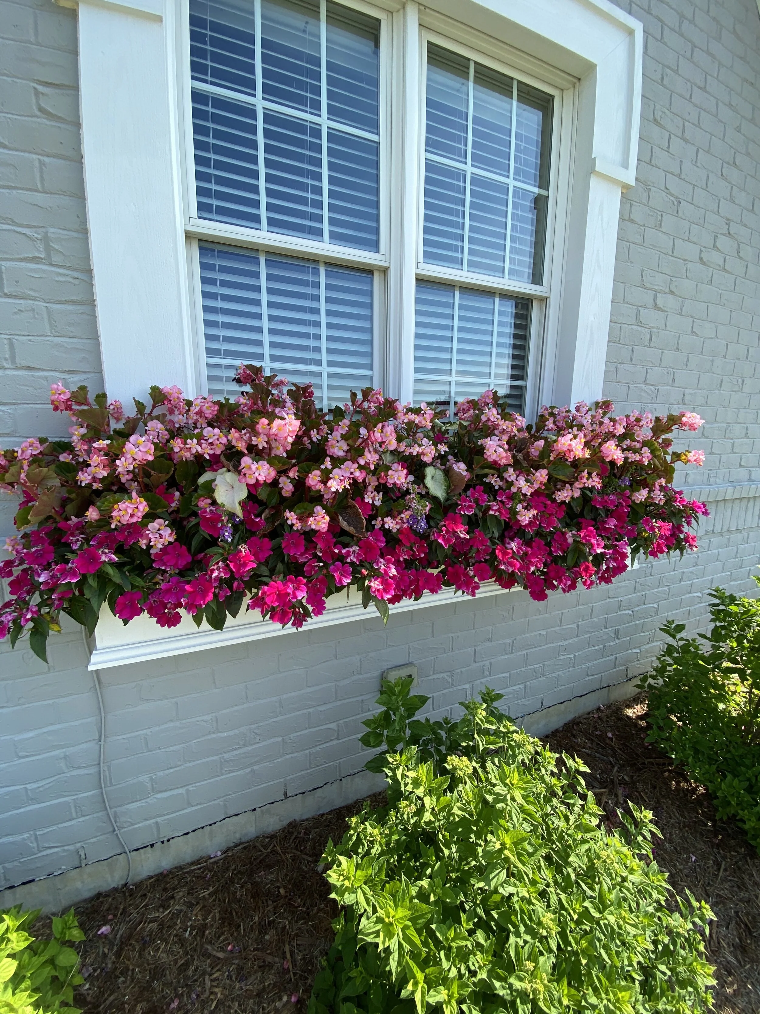 SUMMER — Wow Windowboxes