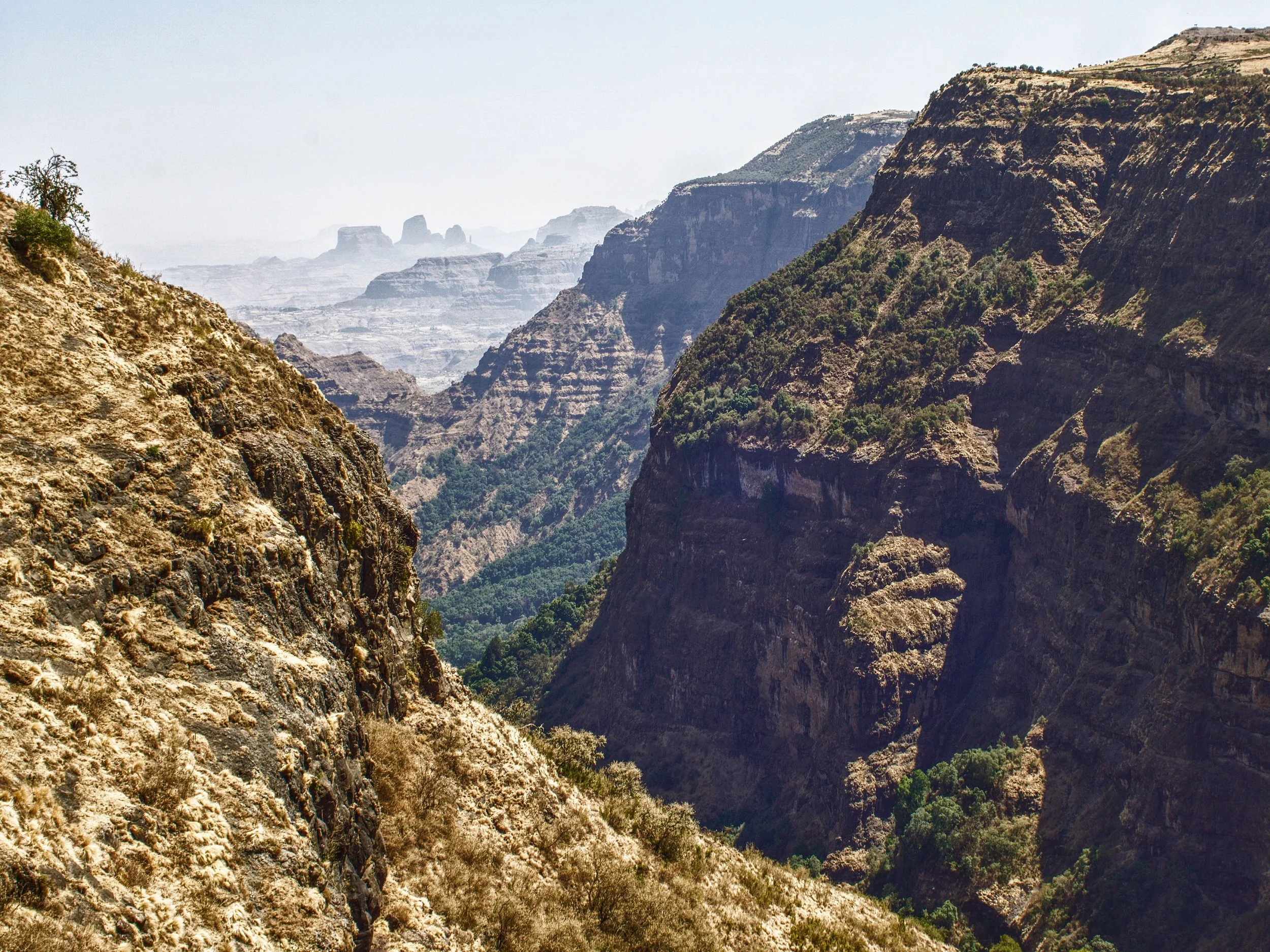 The North — Wild Expeditions Ethiopia