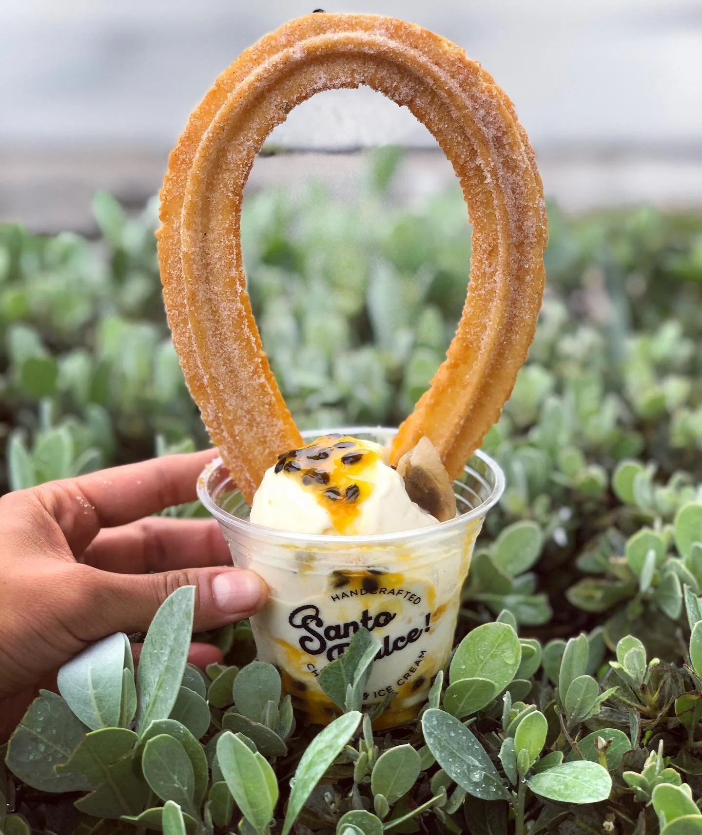 Santo Dulce! Handcrafted Churros & Ice Cream
