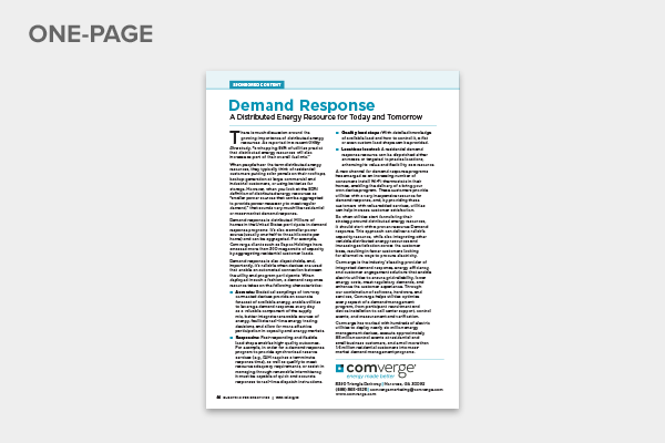 Thought Leadership — Electric Perspectives Media Kit