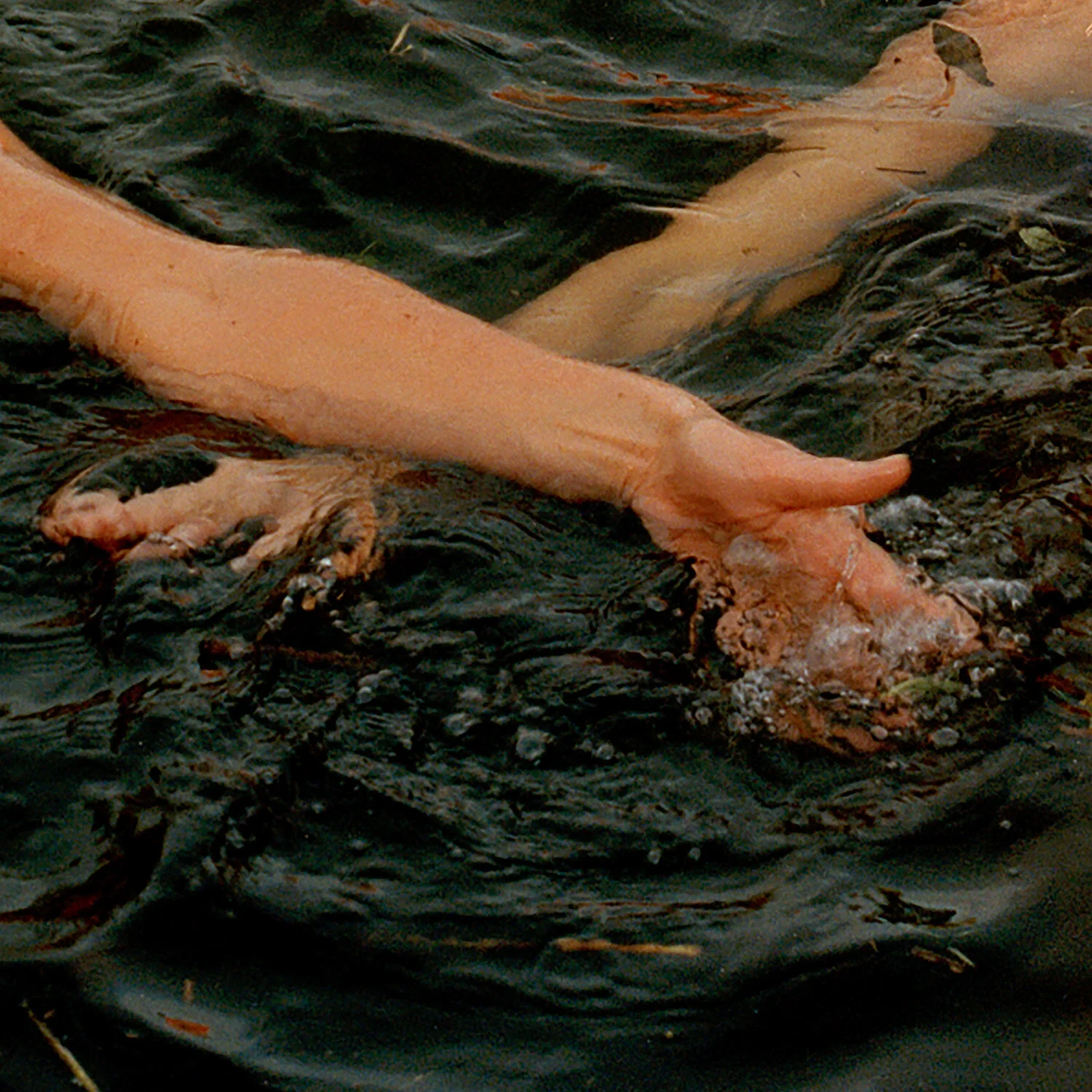 Eva Watkins — Anywhere Blvd