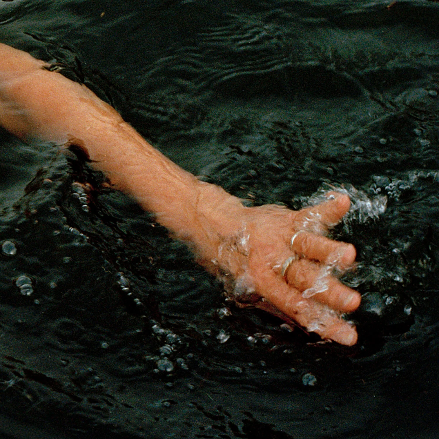 Eva Watkins — Anywhere Blvd